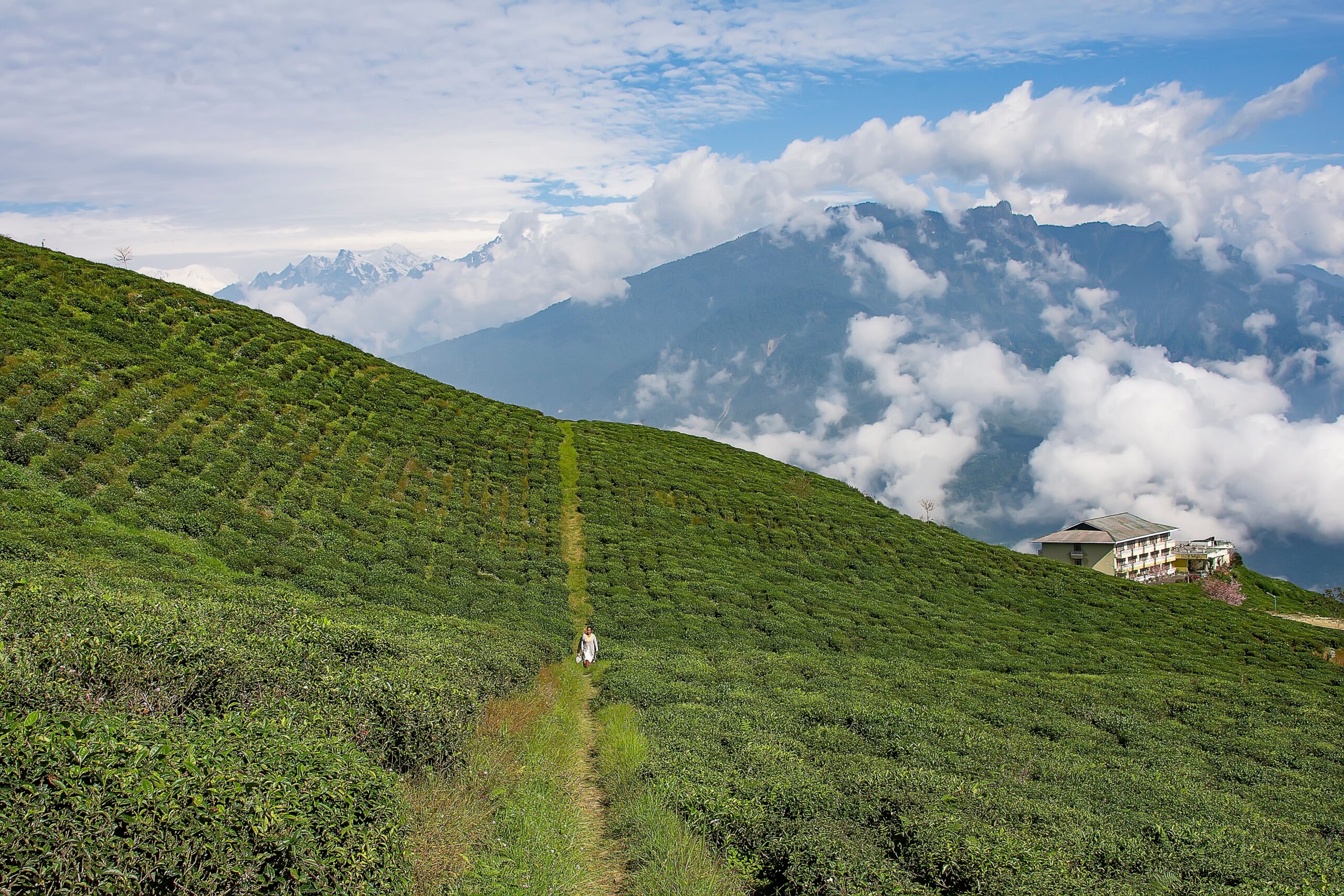 Dr. Brandon Featured in Forbes Magazine - Betancourt Group